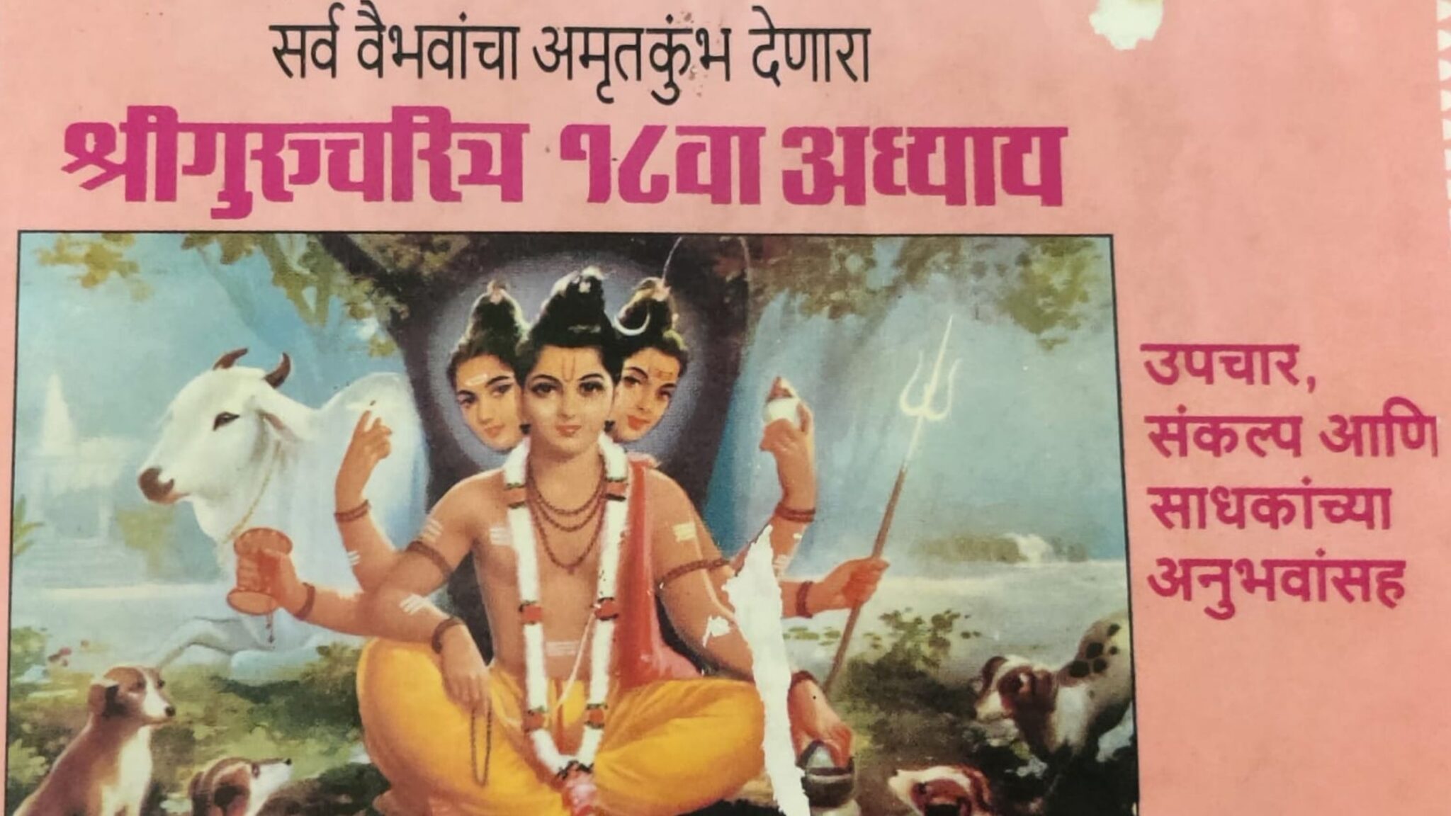 Gurucharitra Adhyay 18 /श्रीगुरुचरित्र १८वा अध्याय - swamisamarthsevekari.com